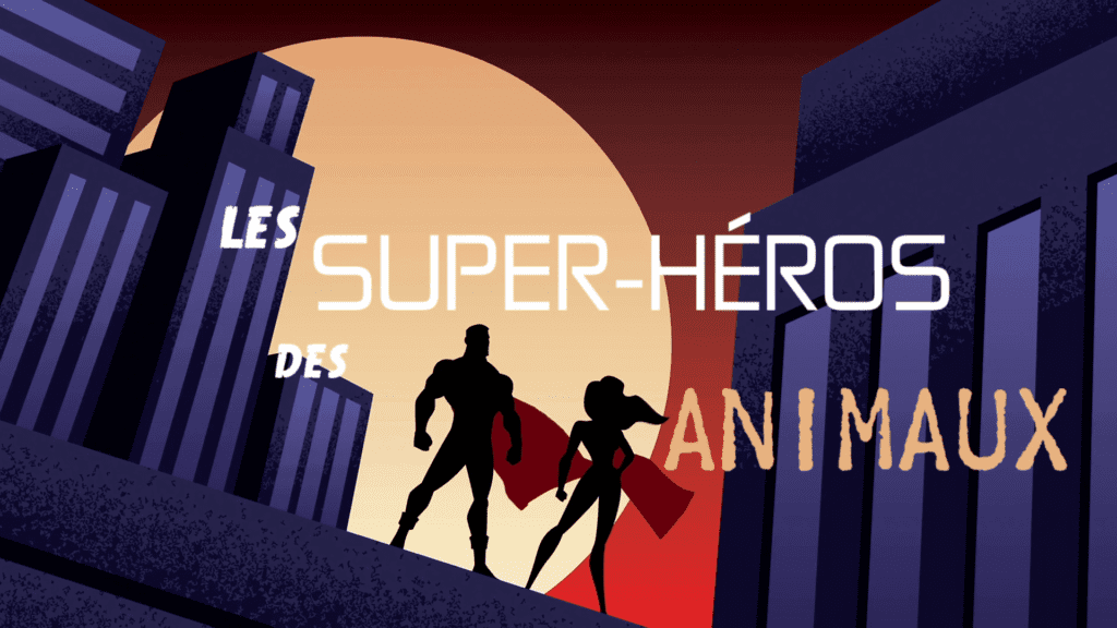 The Animal Super Heroes | Pixcom
